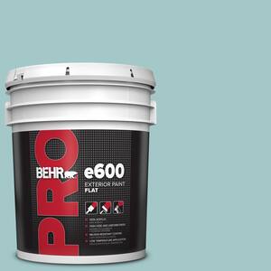 BEHR PRO 5 Gal. #PPU13-10 Ocean Boulevard Low Luster Exterior Paint ...