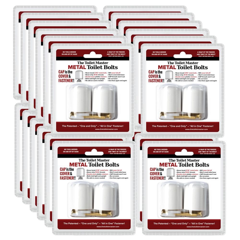 Metal Toilet Master Bolts (24-pack) MTMB-00024-2W - The Home Depot
