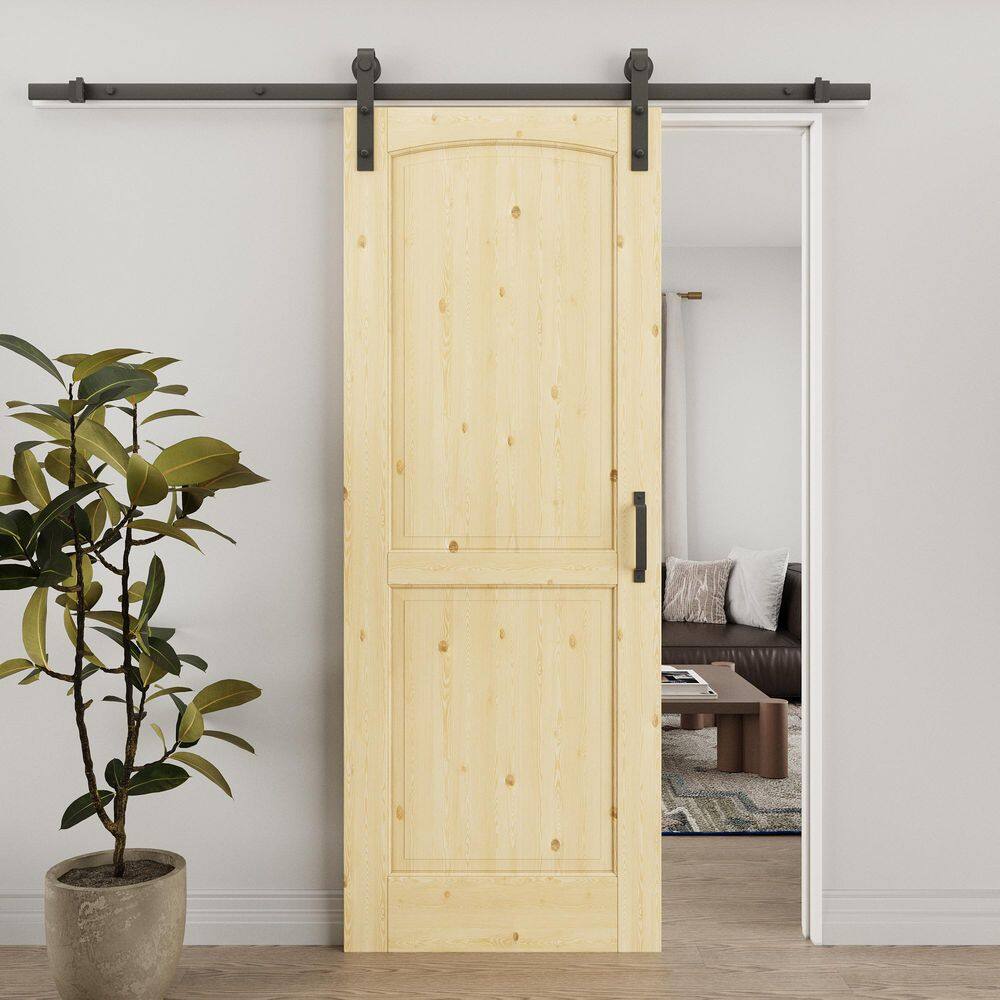 ARK DESIGN 30 in. x 80 in. Arch 2-Panel Unfinished Solid Core Pine Wood ...