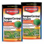 BioAdvanced 10 lbs. Granules Fungus Control for Lawns (2-Pack) 701239U ...