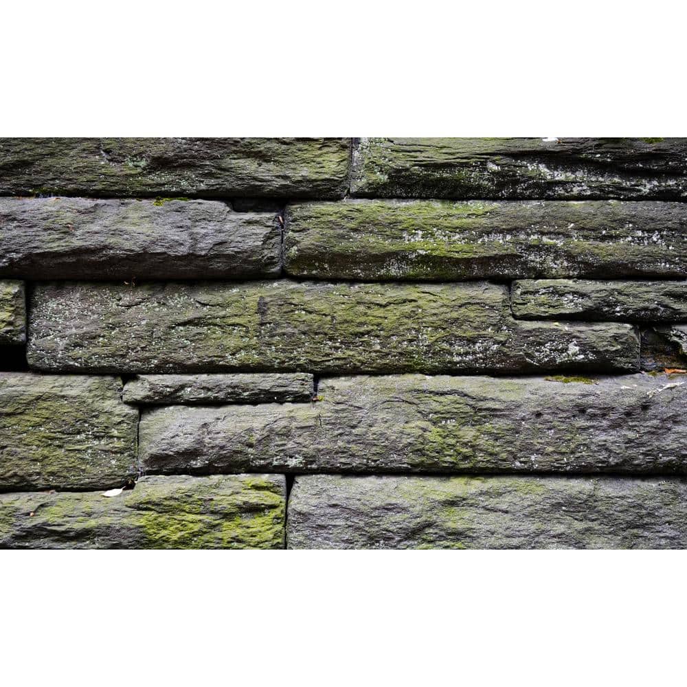 Biggies Rock View - Weather Proof Scene for Window Wells or Wall Mural ...