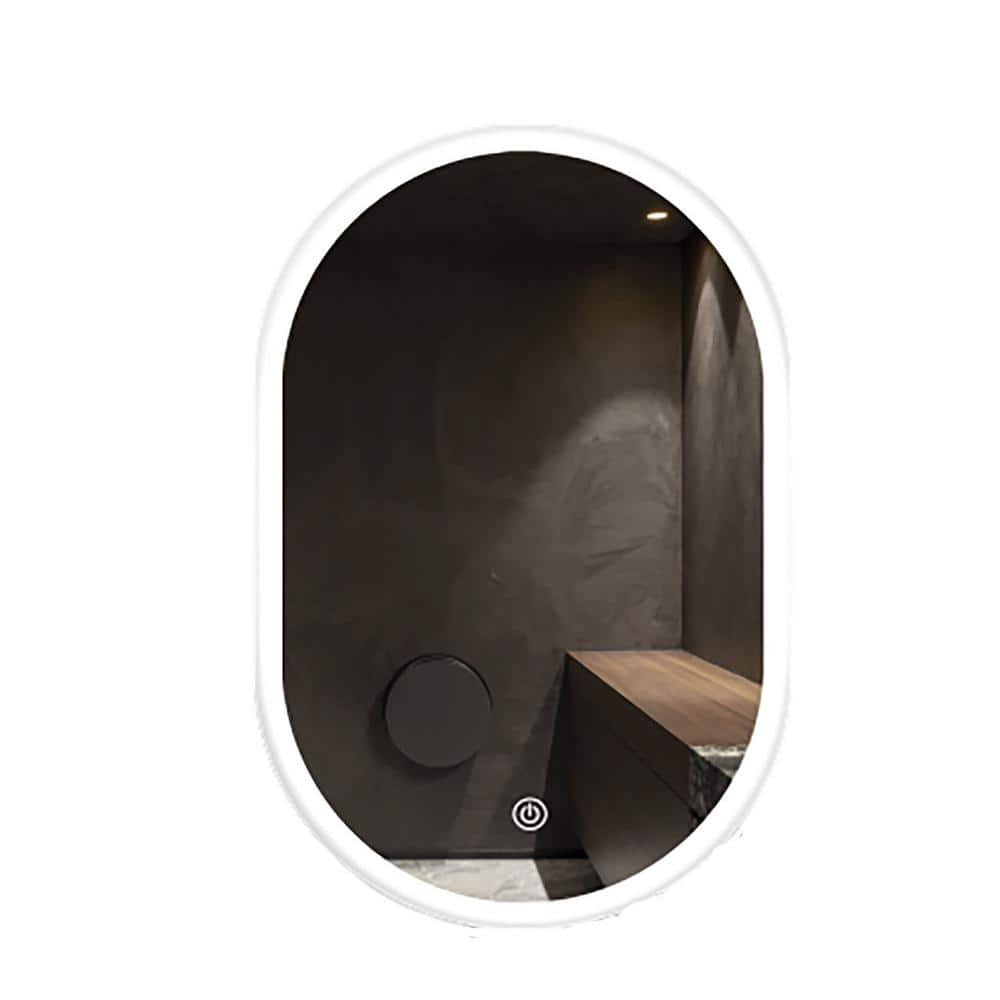 18 in. W x 26 in. H Large Glass Oval Frameless Vertical WallBathroom ...
