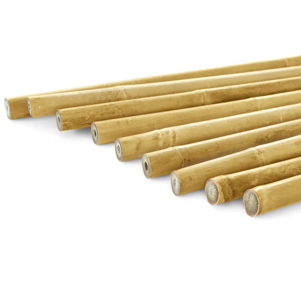 Ecostake 8 ft. x 3/4 in. Natural Bamboo Garden Plant Stakes for ...