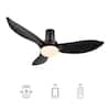 CARRO Daisy 45 in. Integrated LED Indoor Black DC Motor Smart Ceiling ...