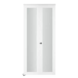 GOLDENPOLEY 30 in. x 78 in. 1-Lite Mirrored Glass Solid Core White ...