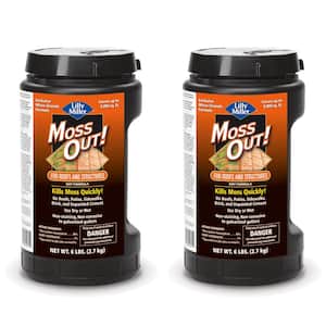 Corry's 10 lbs. 10,000 sq. ft. Moss-B-Ware Moss Killer Granules for ...