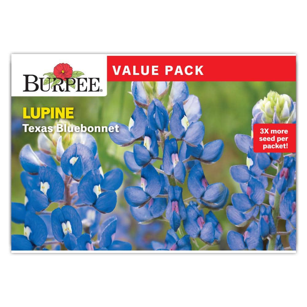 Burpee Value Pack Lupine Texas Bluebonnet Flower Seed 32867 - The Home ...