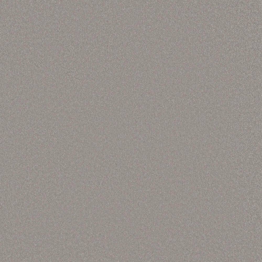 Lifeproof Park Royal II Overcast Beige 52 oz. Nylon Texture Carpet ...