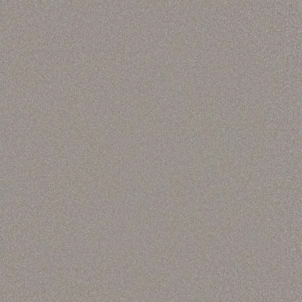 Lifeproof Park Royal II Overcast Beige 52 oz. Nylon Texture Carpet ...