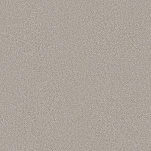 TrafficMaster 8 in. x 8 in. Texture Carpet Sample - Gifted Moments II ...
