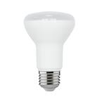 Philips 45-Watt Equivalent R20 Ultra-Definition Dimmable E26 LED Light ...