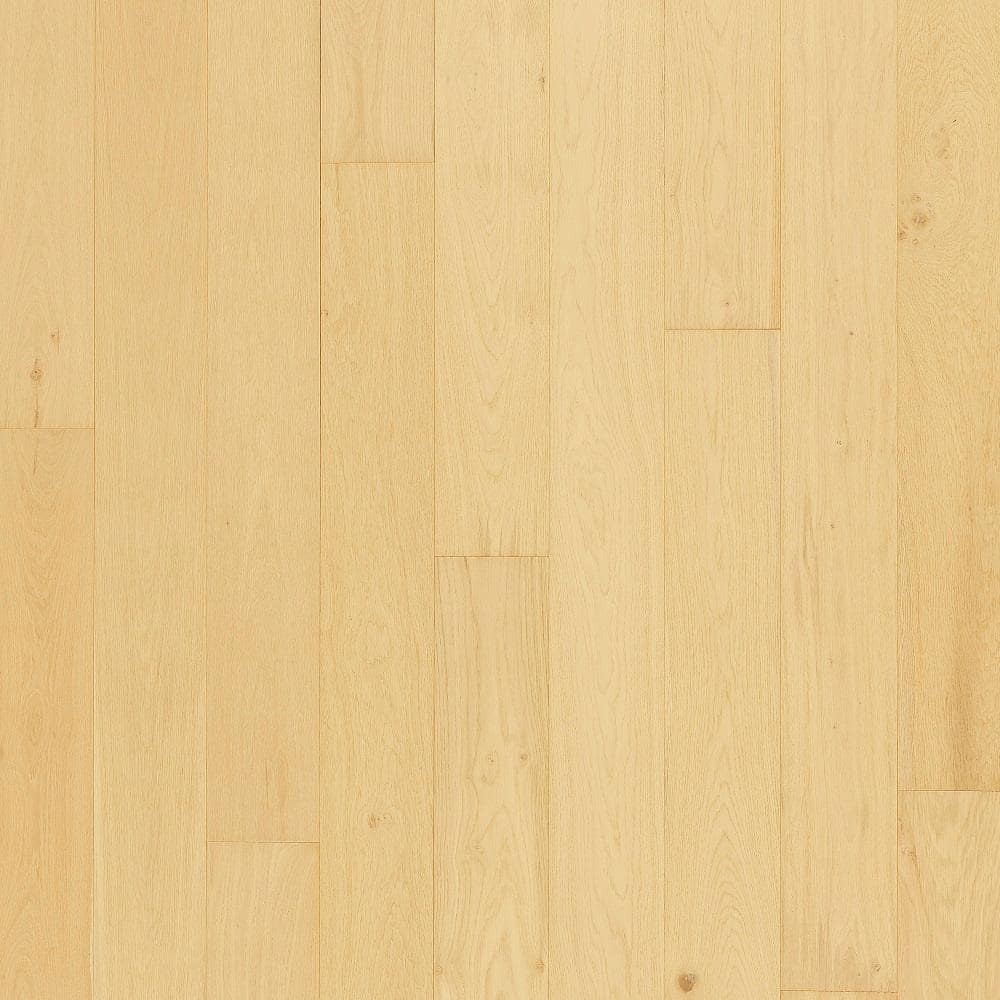 Mohawk Village Square Sand Dollar Oak 0.37 in. T x 6.5 in. W ...