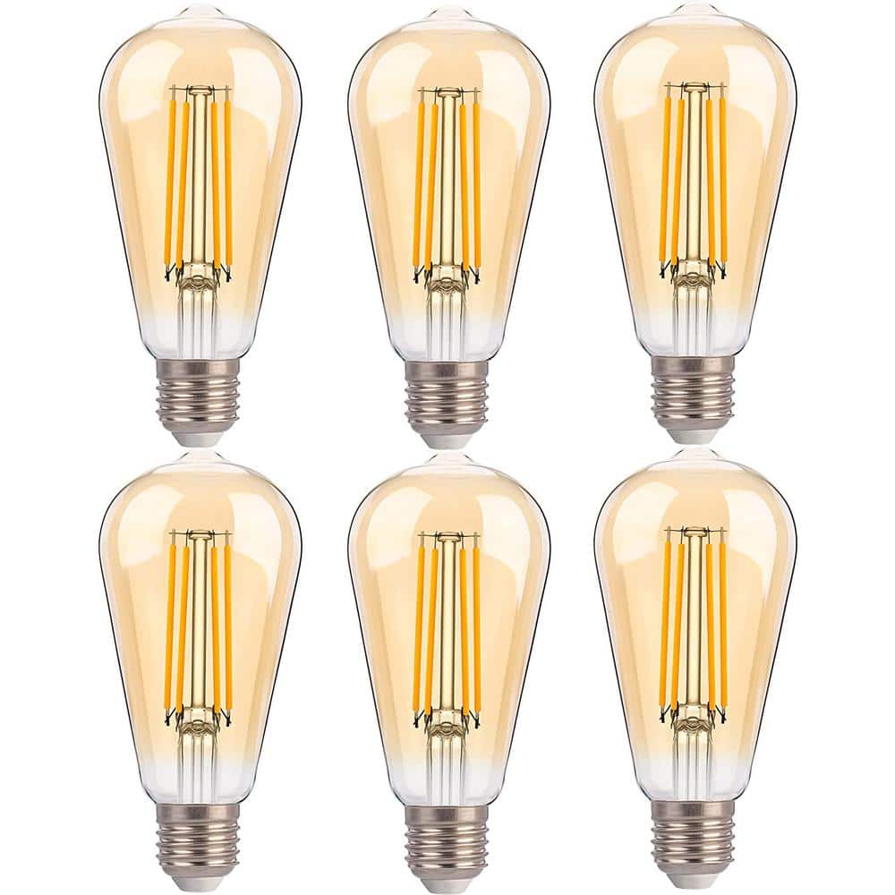 FLSNT 100-Watt Equivalent ST19 Warm White (Less Than 2700K) Dimmable ...