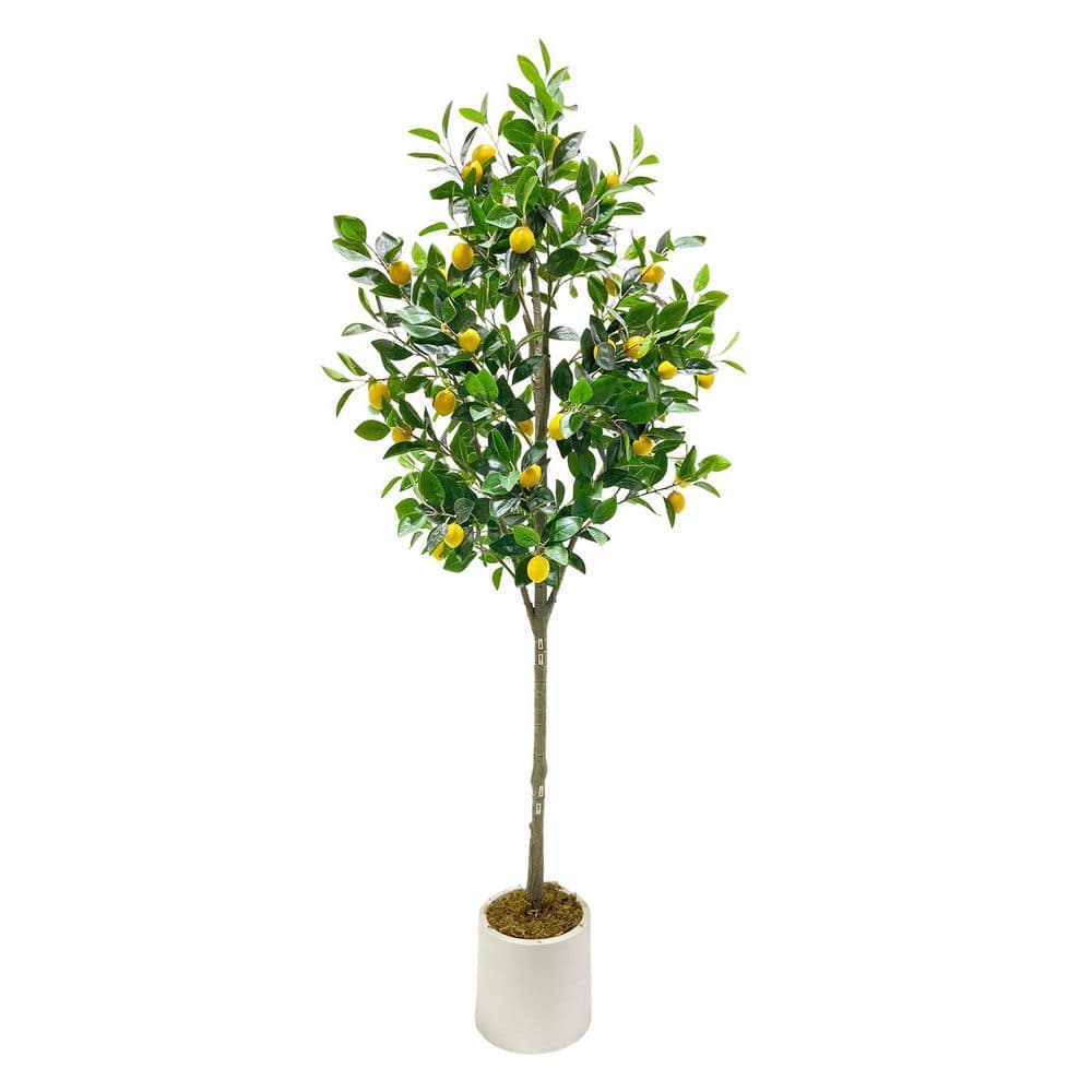 MOVECOM 6FT Artificial Lemon Trees Indoor, Faux Tree, Artificial ...