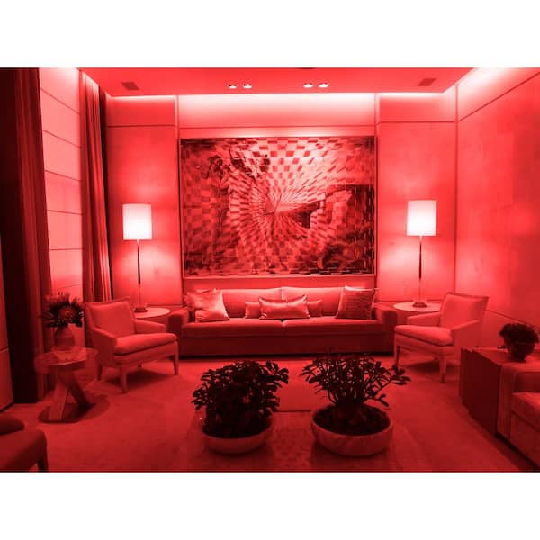 Red Light Bulb Room