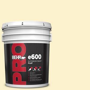 BEHR PRO 5 gal. #370A-1 Moon Mist Low Luster Exterior Paint PR62005 ...