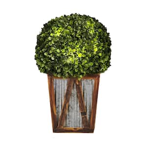 Artificial Topiaries - Artificial Plants - The Home Depot