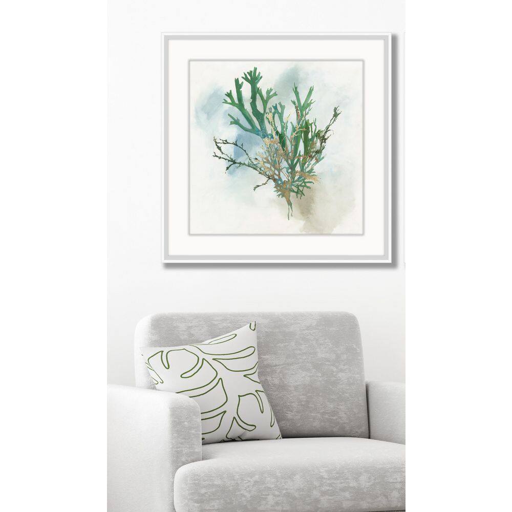 Melissa Van Hise Green Coral I Framed Giclee Art Print 22 in. x 22 in ...