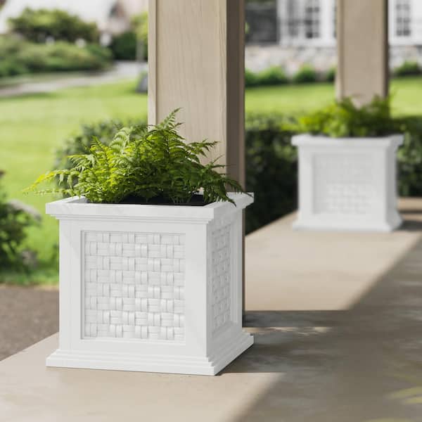 Small White Planter Box Modern Steel Planter Box – Lewis Bamboo