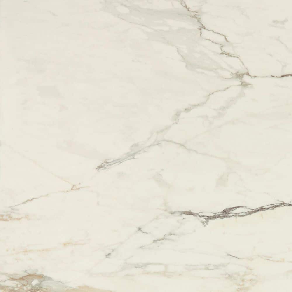 Have a question about Daltile Panoramic Duet Calacatta Topaz 24 in. x ...
