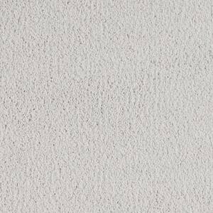 Lifeproof with Petproof Technology 8 in. x 8 in. Texture Carpet Sample ...