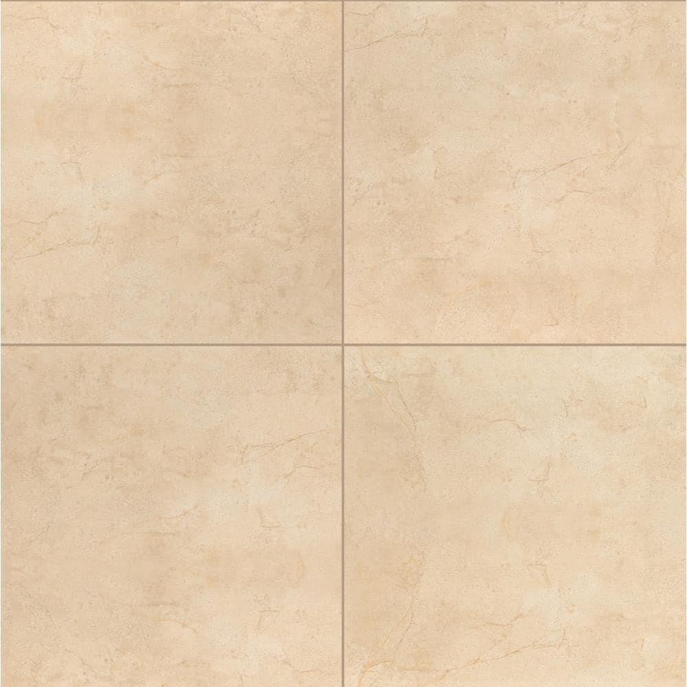 MSI Alvara Cremita 24 in. x 24 in. Polished Porcelain Floor and Wall ...