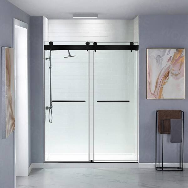 WELLFOR 60 in. W x 76 in. H Double Soft-Closing Sliding Frameless Shower Door with 3/8 in. Clear ...