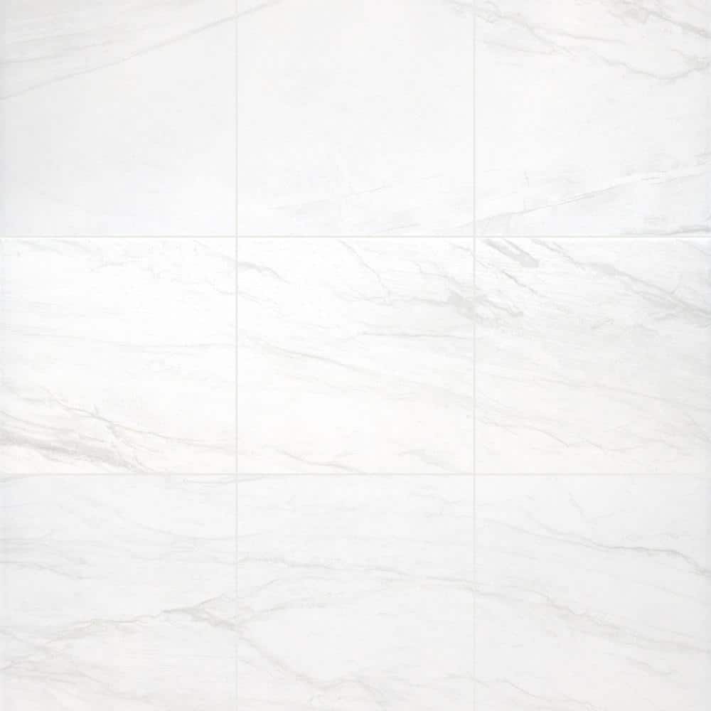 MSI Alexandra 24 in. x 24 in. Matte Porcelain Floor and Wall Tile (3.96 ...