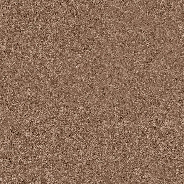 Have a question about Mammoth - Color Tusk Texture 12 ft. Carpet? - Pg ...
