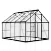 VIWAT 8 ft. W x 10 ft. D Greenhouse for Outdoors, Polycarbonate ...