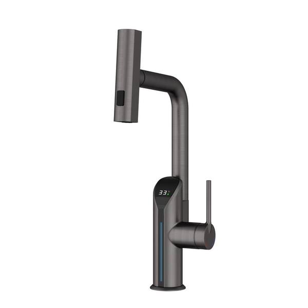 FUFU&GAGA Single Hole Single-Handle Bathroom Faucet with Pull-Down ...