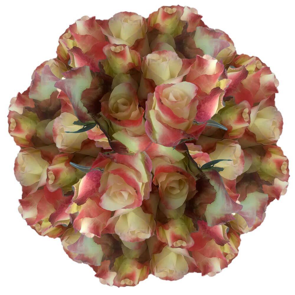 Globalrose 100 Stems of Cream Yellow with Pink Edges Audabe Roses Fresh ...