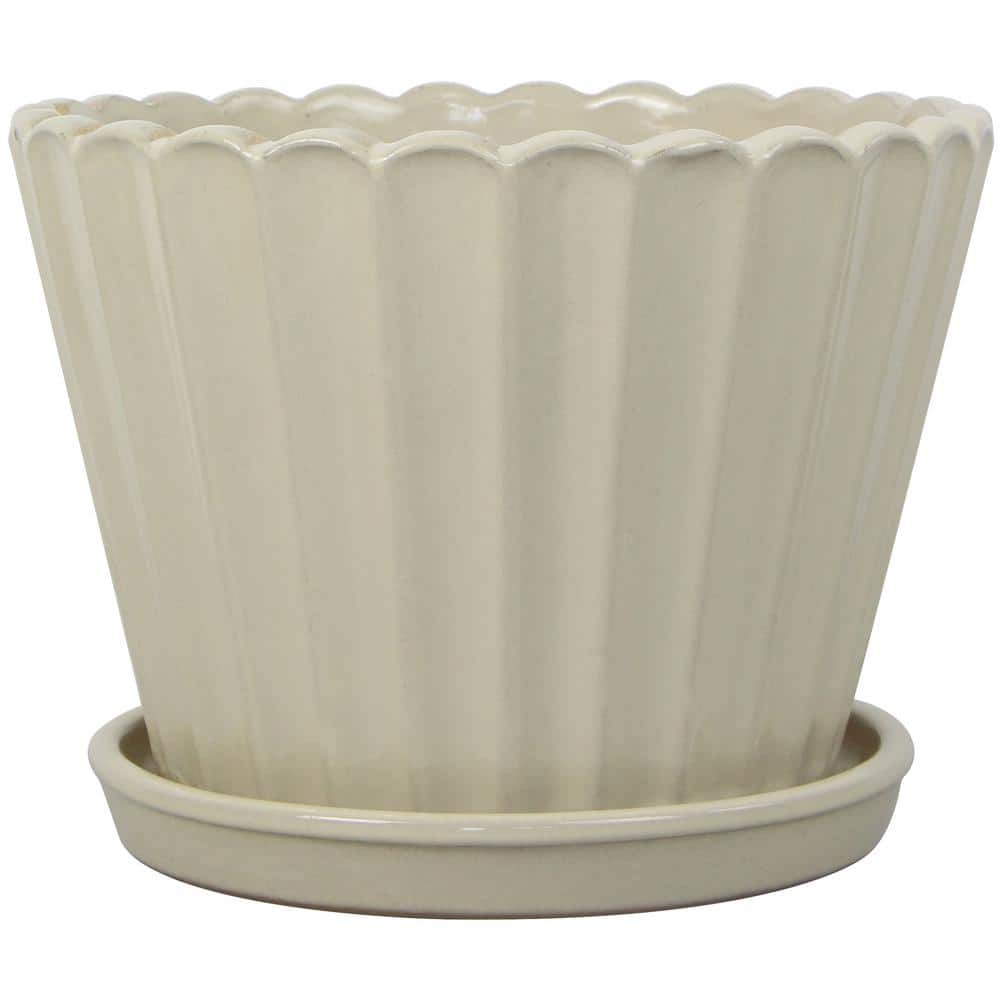 Trendspot 12 in. W x 8.8 in. H Fluted Scallop Ceramic Decorative ...