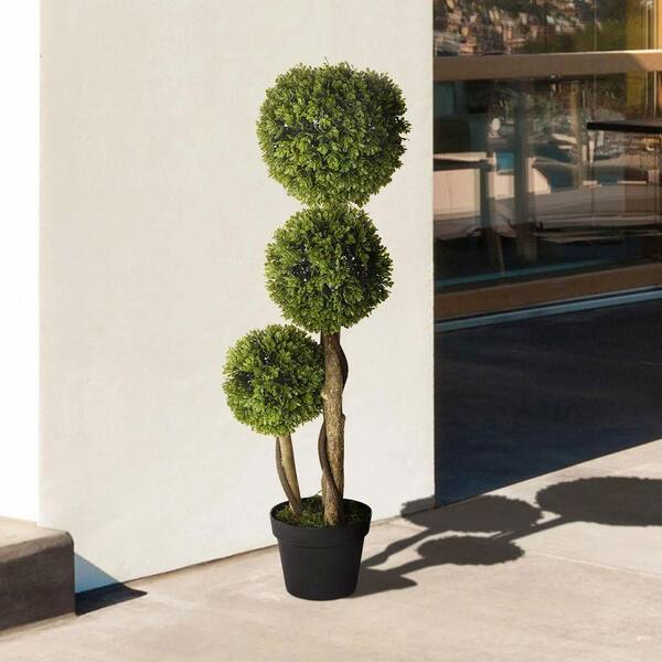 Topiary Potted Plants