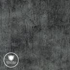 Wilsonart 8 in. x 10 in. Laminate Sheet Sample in Zebra with Virtual ...