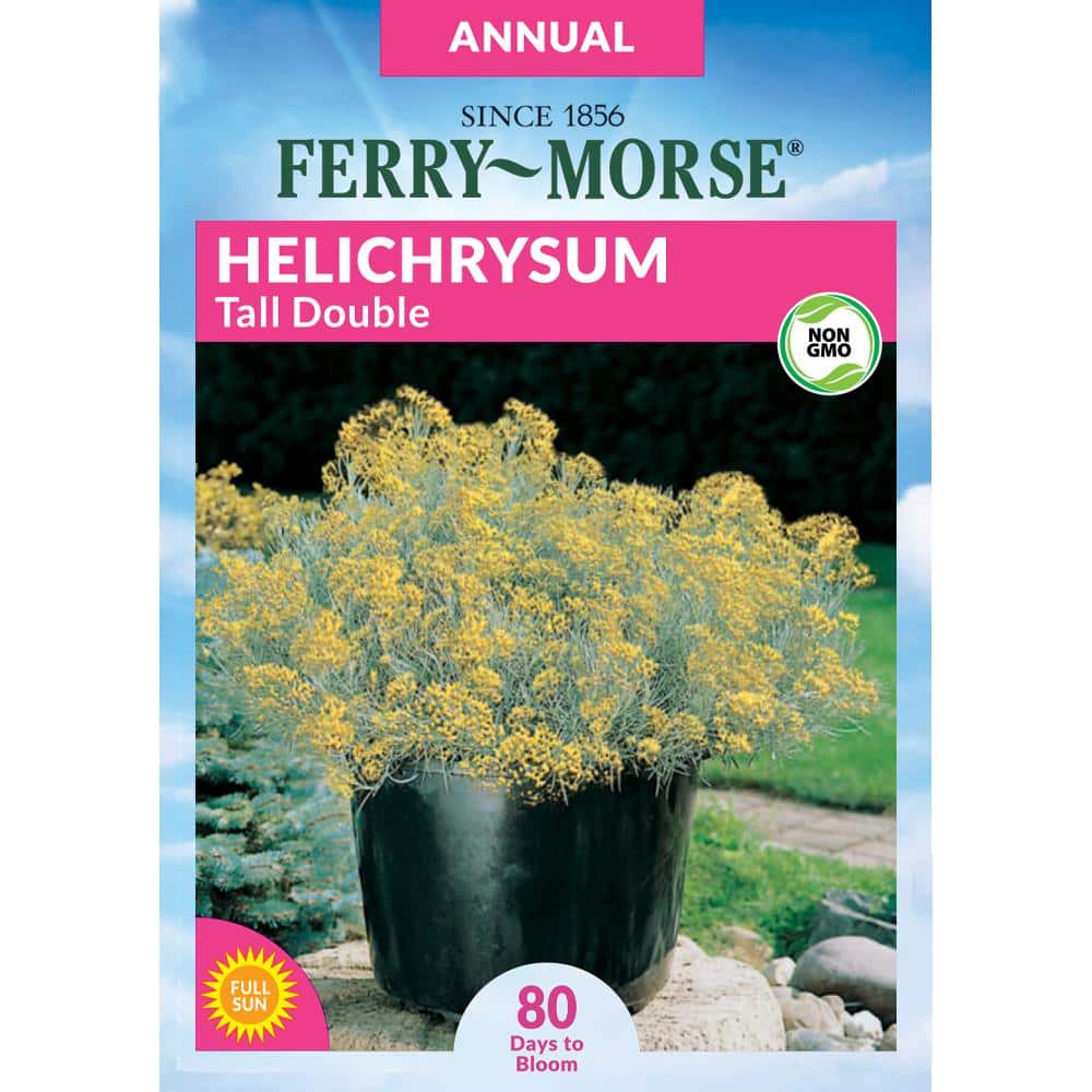 Ferry-Morse Helichrysum Tall Double Mixed Colors Flower Seeds 5771 ...