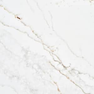 Caesarstone Quartz Countertop Sample in Moorland Fog 6046 - The Home Depot