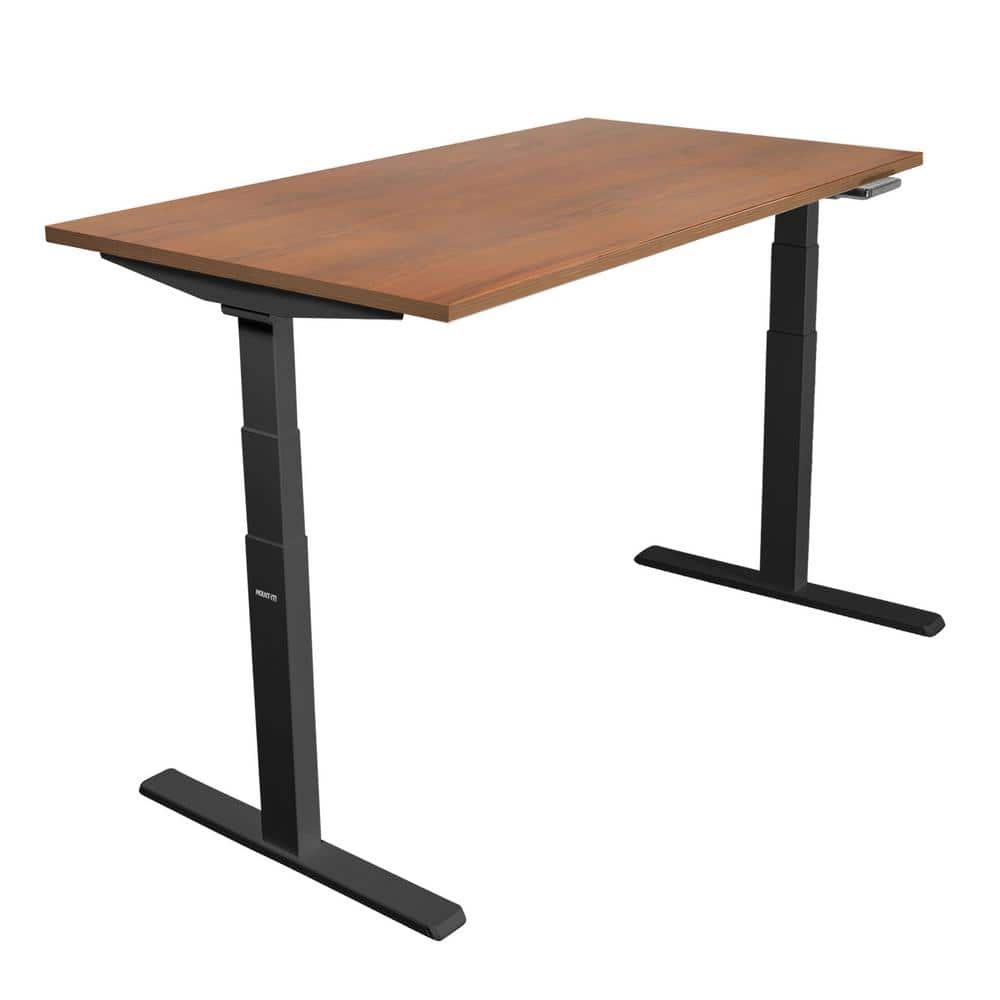 mount-it! 55 in. Rectangular Dual Motor Electric Standing Desk with ...