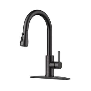 ANZA Single Handle Pull Down Sprayer Kitchen Faucet with Deck Plate in ...