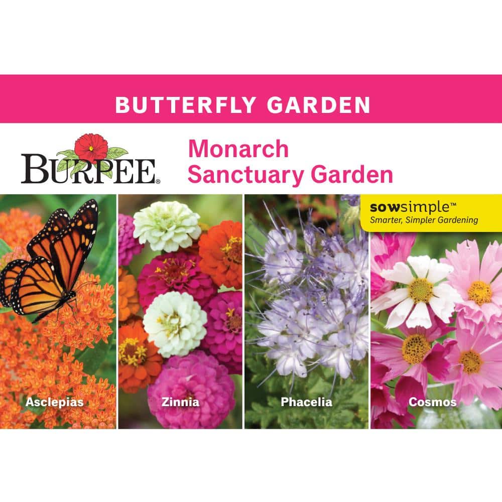 Burpee Butterfly Garden, Monarch Sanctuary Seed 35182 - The Home Depot