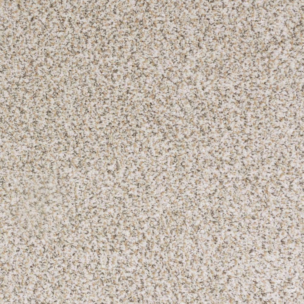 Lifeproof with Petproof Technology 8 in. x 8 in. Texture Carpet Sample ...