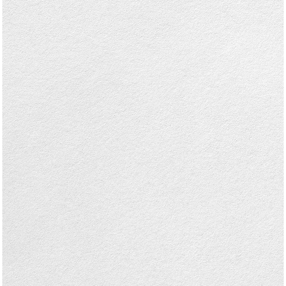 USG Ceilings 2 ft. x 2 ft. Astro White Shadowline Tapered Edge Lay-In ...