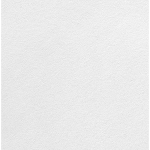 USG Ceilings 2 ft. x 2 ft. Alpine White Shadowline Tapered Edge Lay-In ...