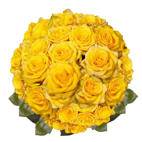 Globalrose 100 Stems of Yellow with a Touch of Red High and Yellow ...