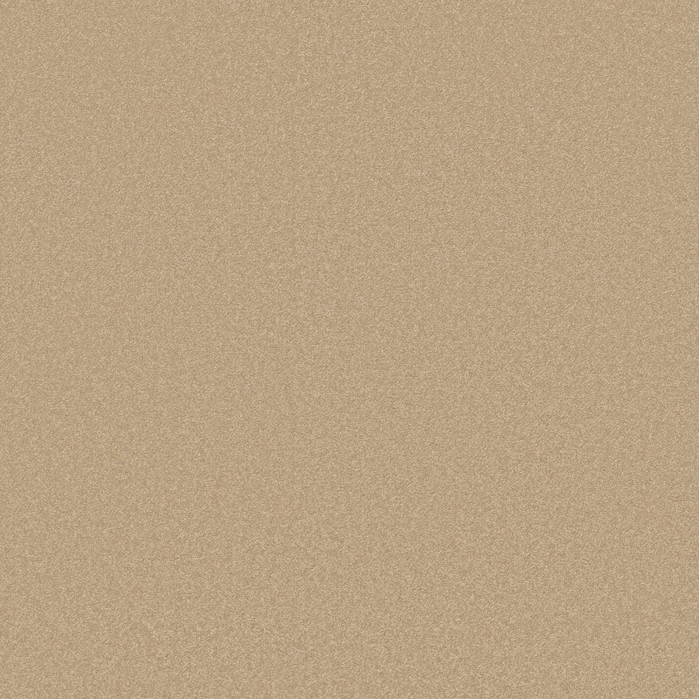 Lifeproof Park Royal II-Color Pebble Beige 52 oz. Nylon Texture Carpet ...