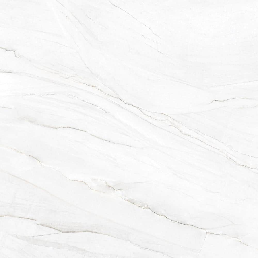 STONEMARK 4 in. x 4 in. Porcelain Countertop Sample in Calacatta ...