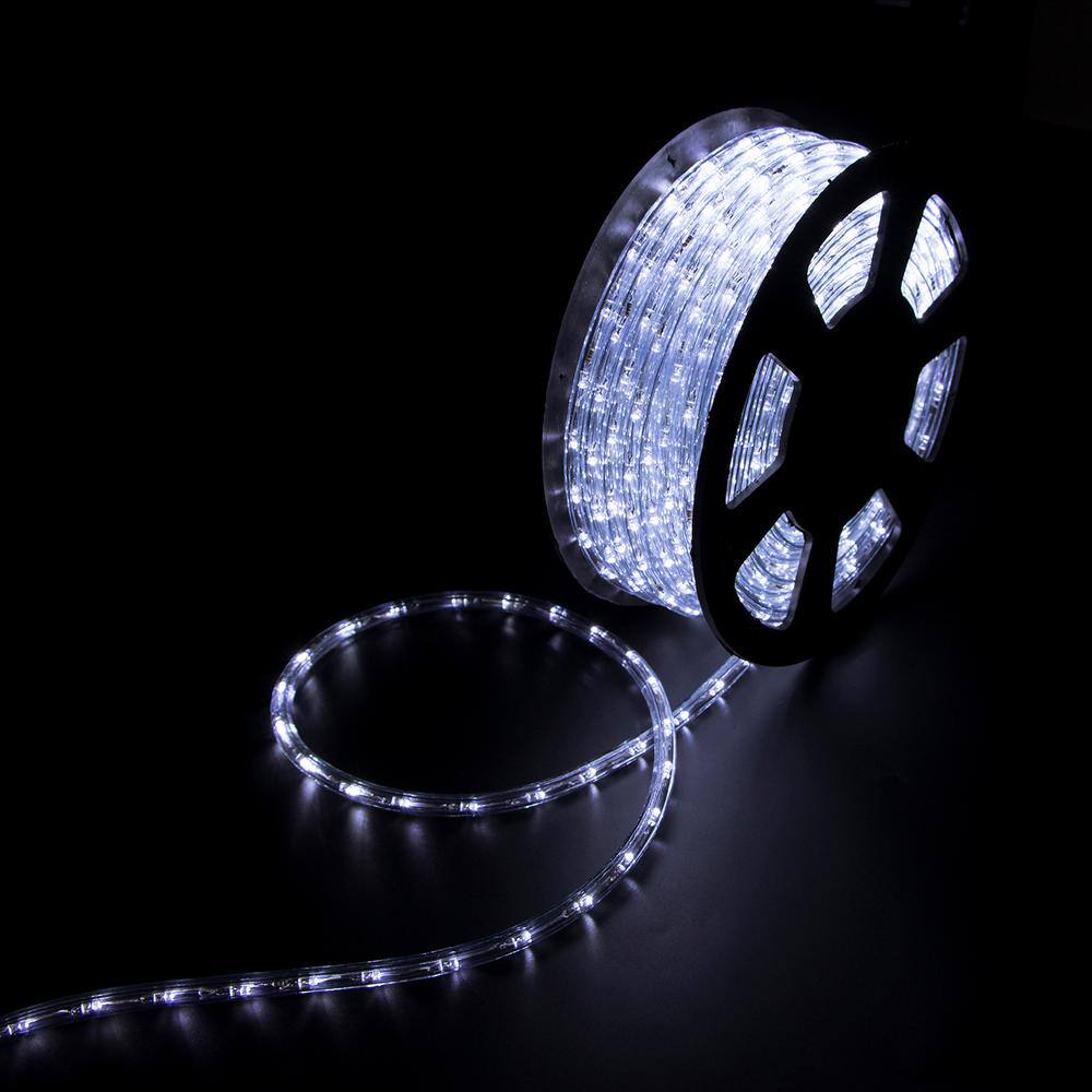 walsport Outdoor 100 ft. 110-Volt Plug-In Cool White Integrated LED ...