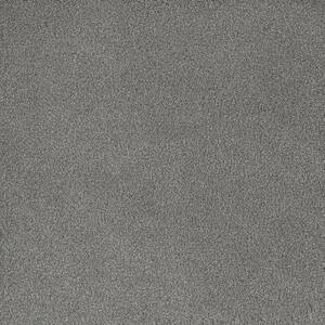 Home Decorators Collection 8 in. x 8 in. Texture Carpet Sample - First ...