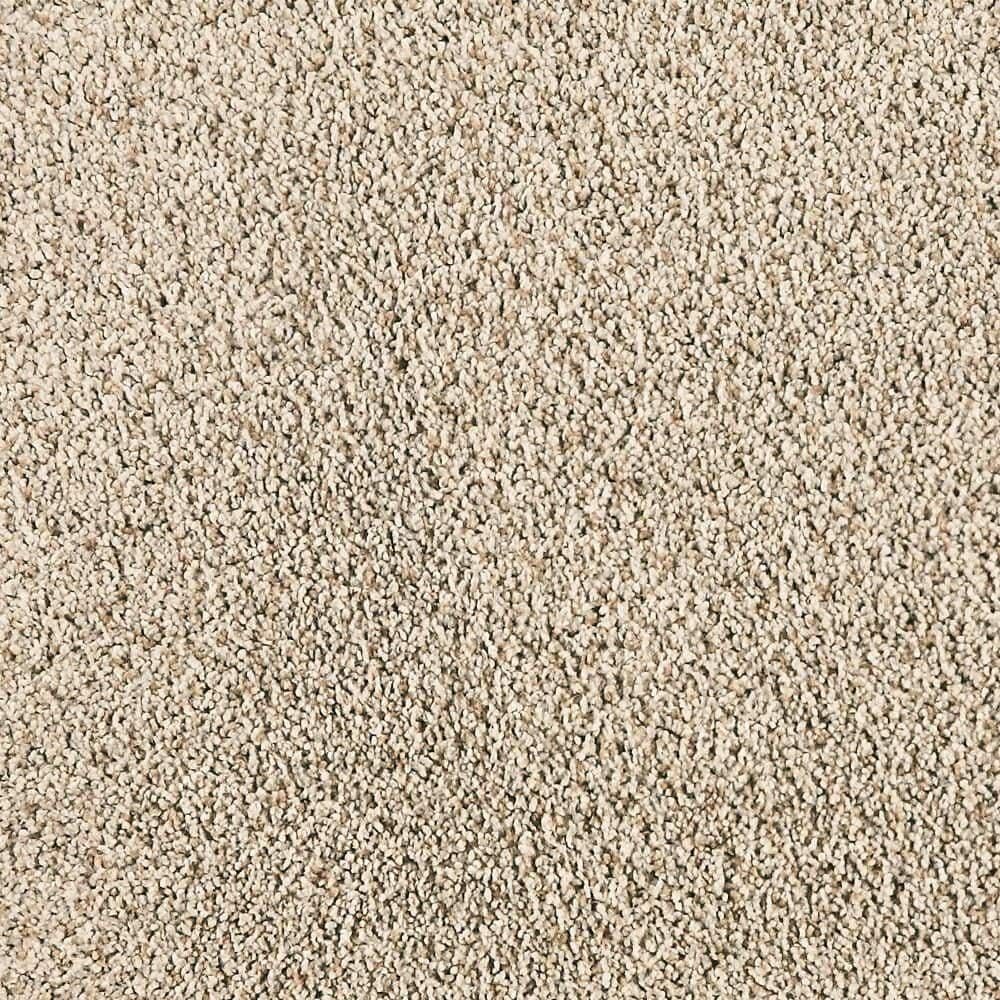 stone-work-trafficmaster-texture-carpet-0867d-24-12-64_1000.jpg