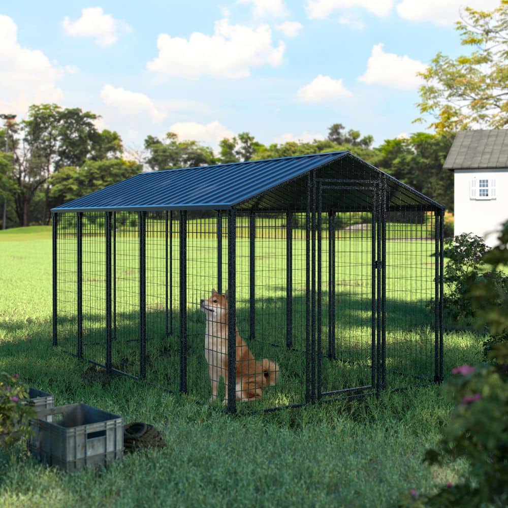 VEIKOUS 10.6 ft. x 6.2 ft. Outdoor Large Dog Kennel Chicken Coop with Galvanized Metal Roof for ...